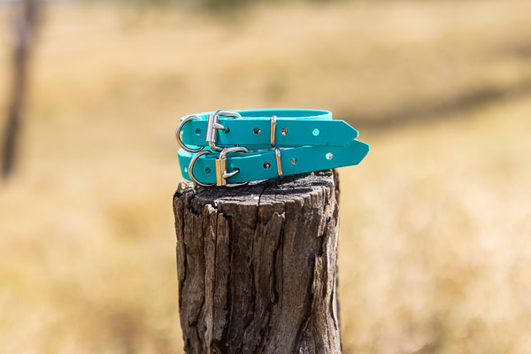 Extra Small Biothane Pup Collar 19mm - Teal – Clermont Kelpies